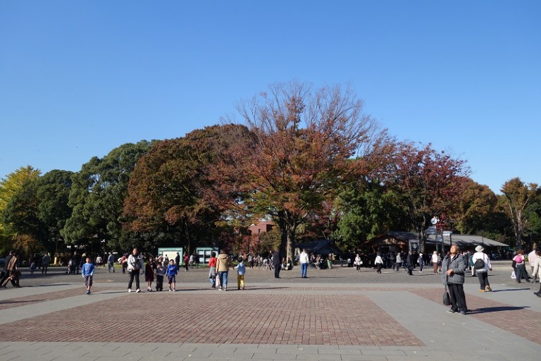 Autumn in Ueno Park - Scenes From Nadine