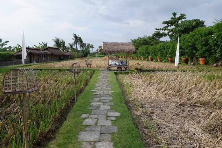 Sardine Restaurant, Bali - Scenes From Nadine