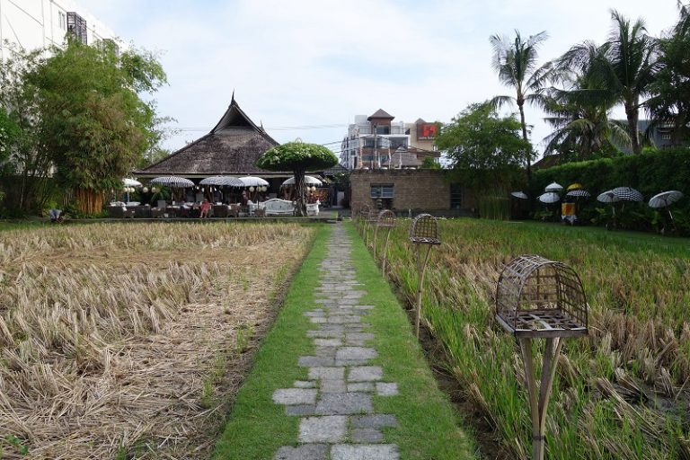 Sardine Restaurant, Bali - Scenes From Nadine